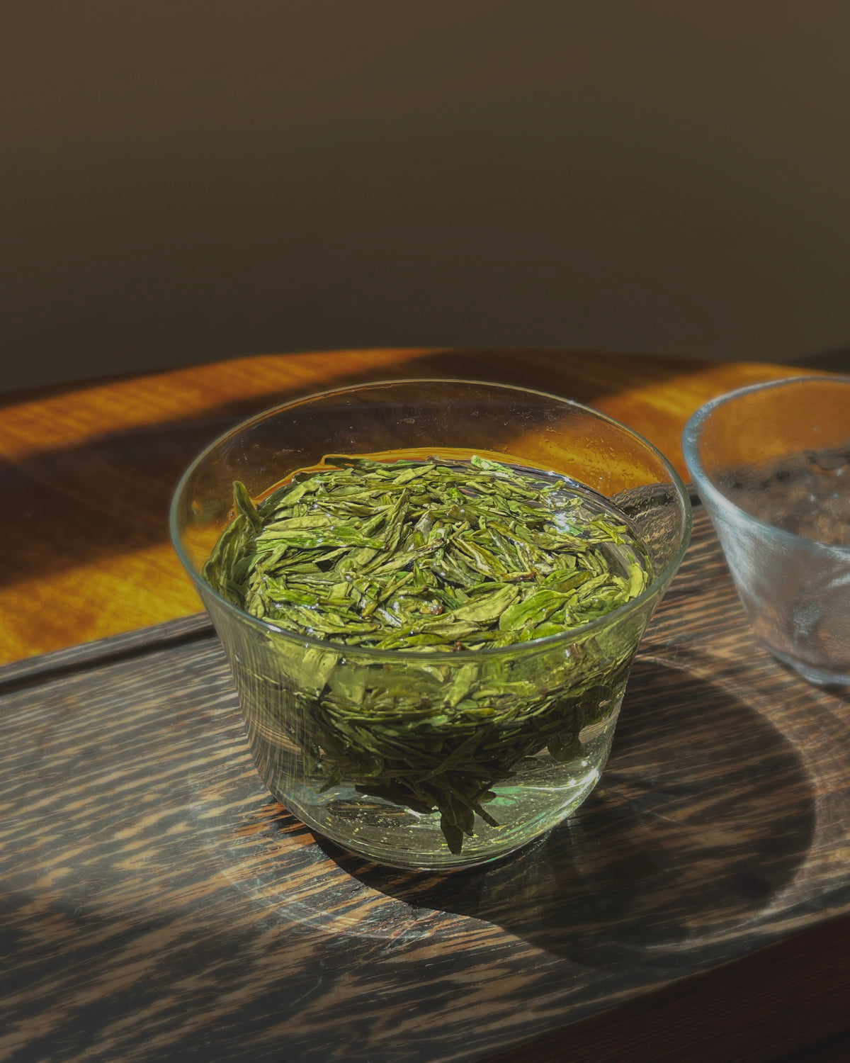 Tea 101: All about green tea – Plantation Teas