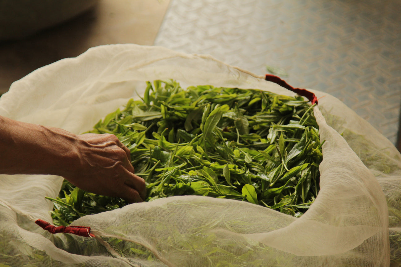 About us | A Hong Kong craft tea company – Plantation Teas